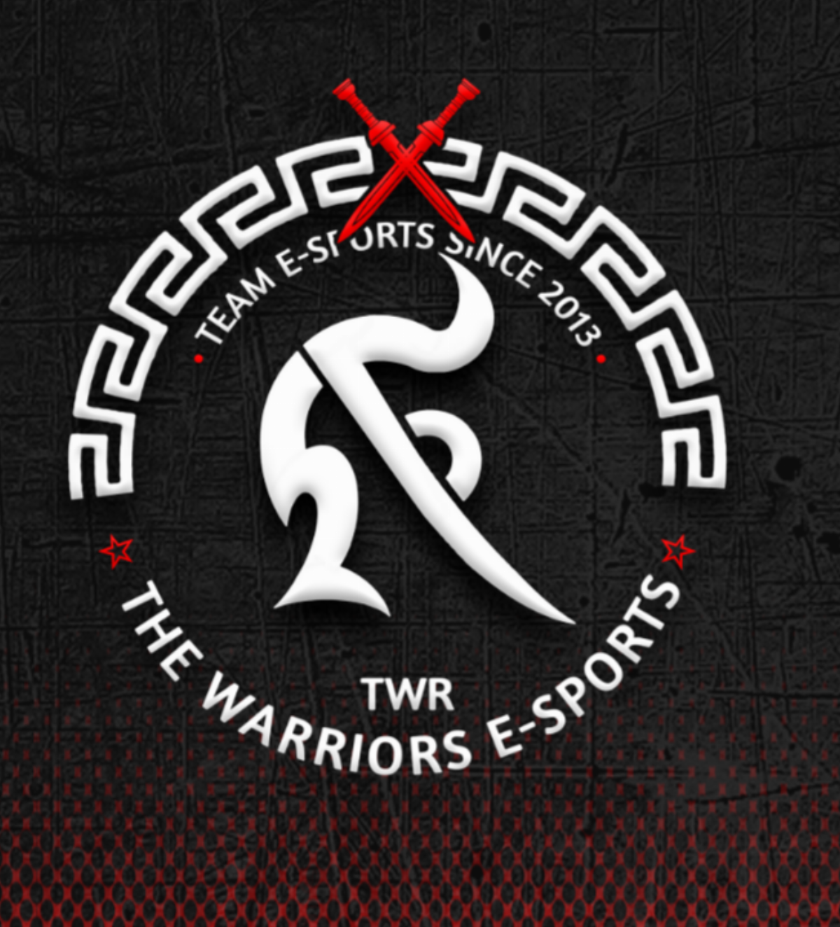 TWR The Warriors E-Sports